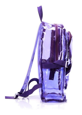 Neon Purple Transparent Youth Backpack